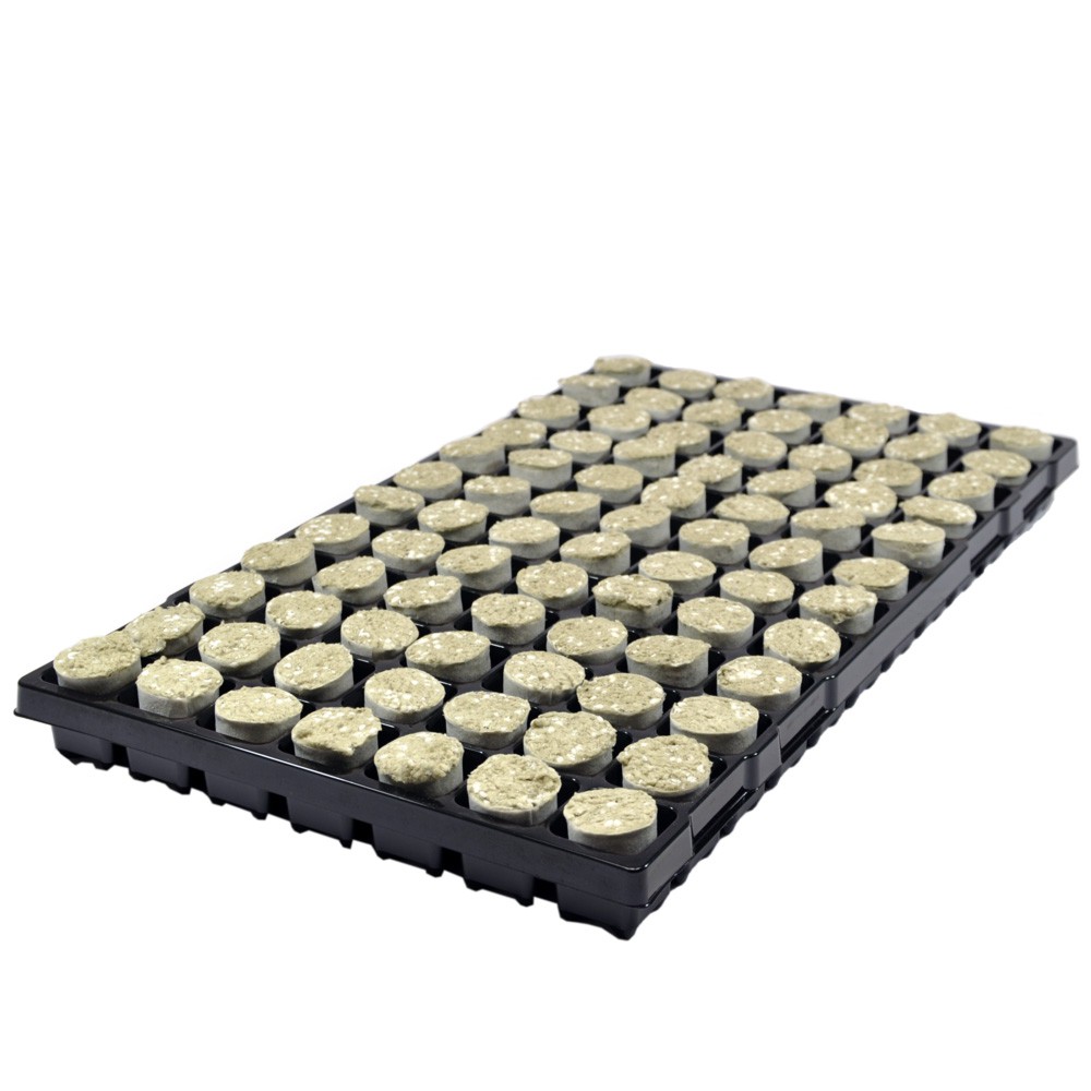 PAPERBUS PROPAGATION PLUGS Ø 34 MM SOFT PER CARTON (8 TRAYS=672 PLUGS)