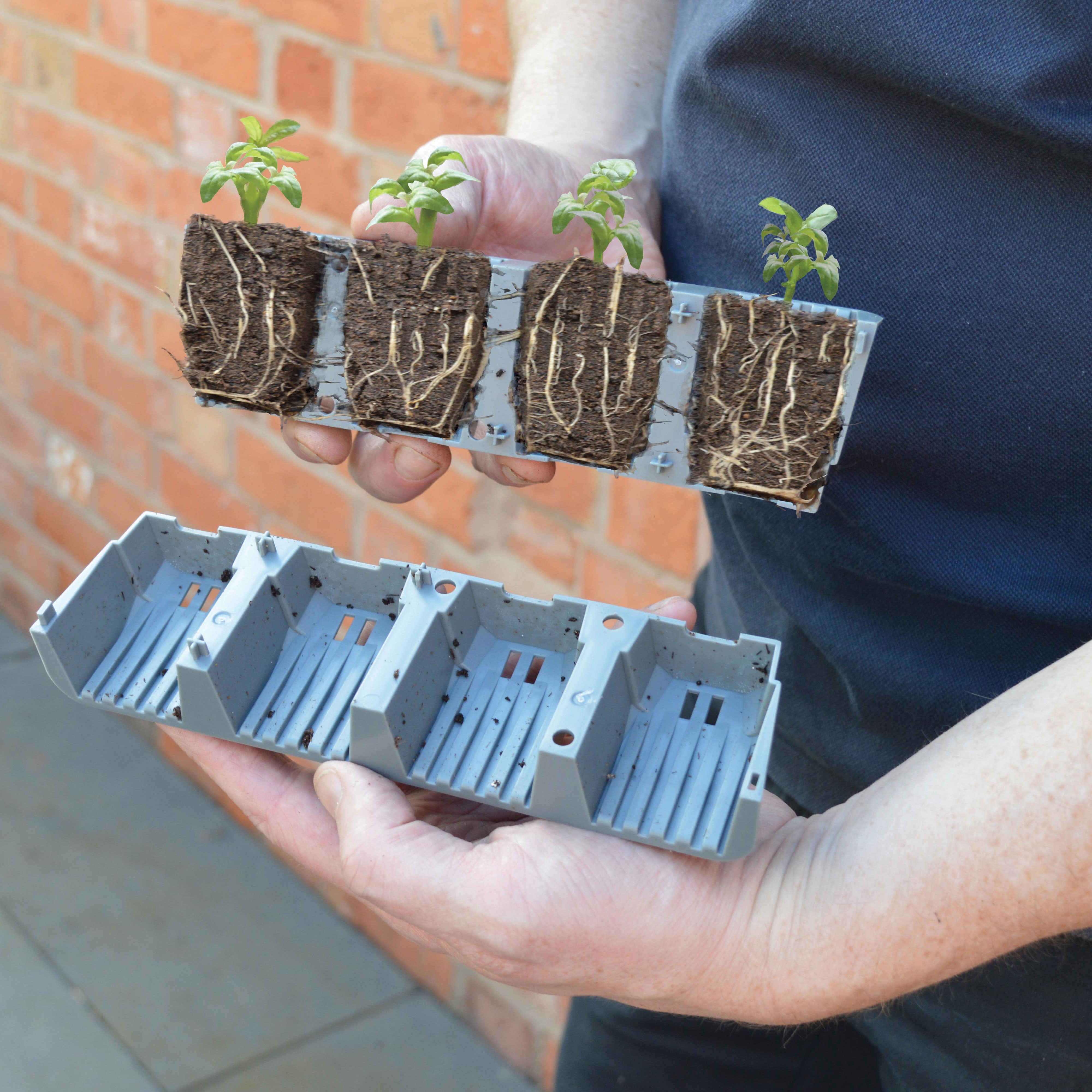 Garland 24 Fast Root Plant Cells – Propagation Cells for Seeds and Cuttings